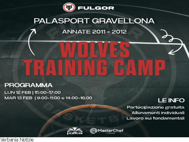 Wolves Training Camp